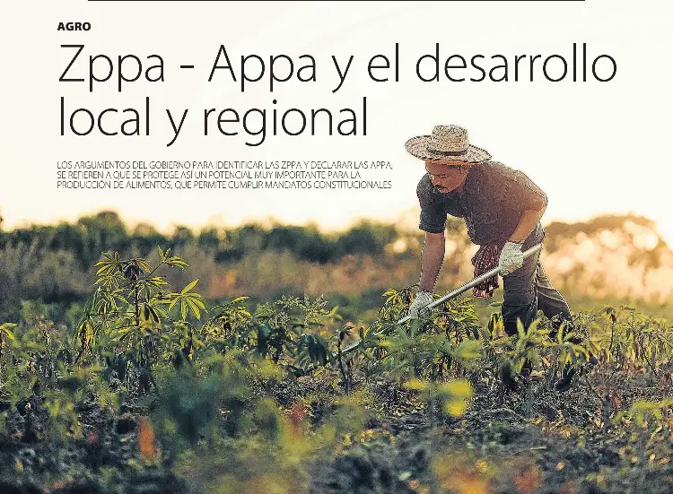 Zppa - Appa y el desarrollo local y regional - PressReader