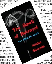 ‘The Smell of Betrayal: You Sting My Heart’ reviewed by Maina Wahome Part Four: The Rural Bath ...