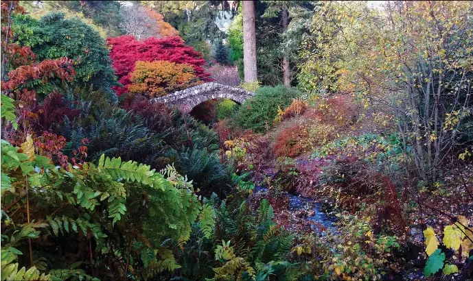 Dazzling colours and a fine collection of trees to enjoy - PressReader