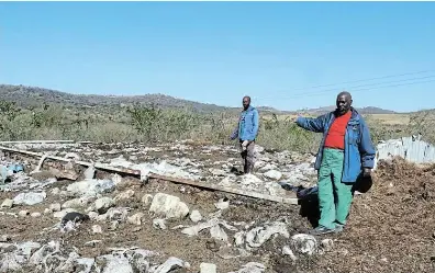 Steenhuise­n called on to probe dairy farm failure - PressReader