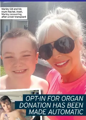 New law that will save lives of so many - PressReader