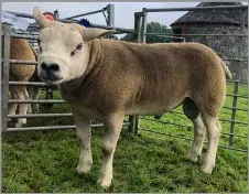 Clean sweep for Ben Lawers - PressReader