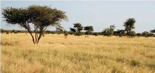 Hooimaak & weiding - PressReader