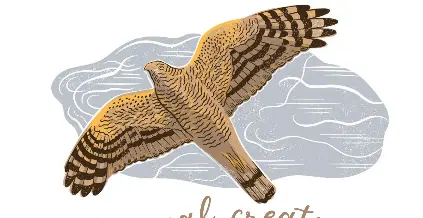 Magical creatures - PressReader