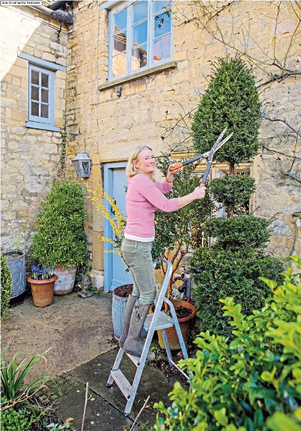 Eleven ways to make over your front garden - PressReader