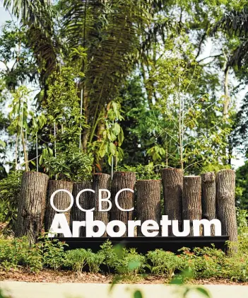 OCBC goes green with trees, tech and tie-ups - PressReader