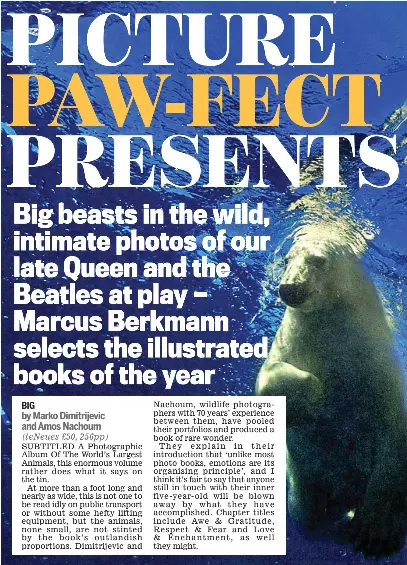 PICTURE PAW-FECT PRESENTS - PressReader