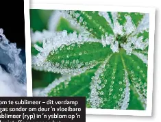 Drie fases van materie - PressReader