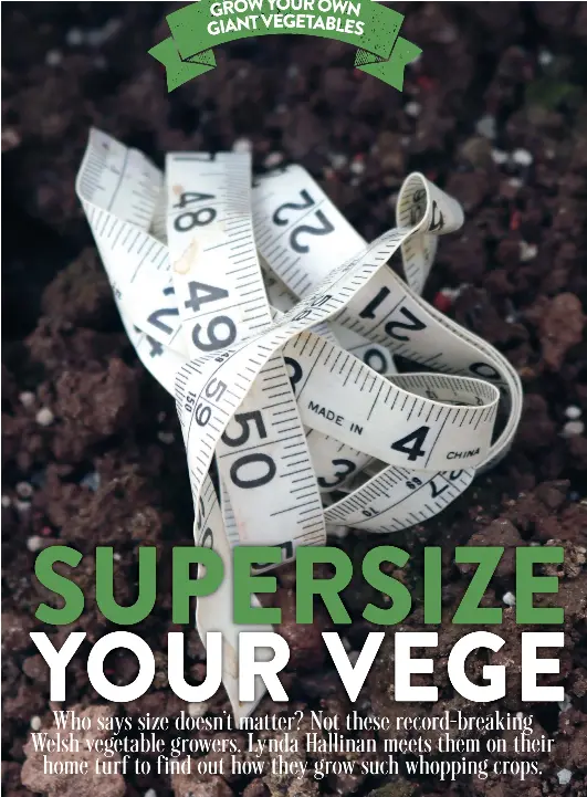 SUPERSIZE YOUR VEGE - PressReader