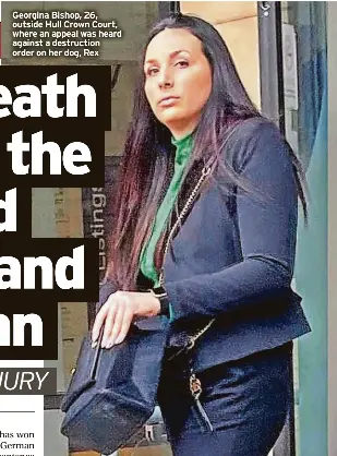 Owner appeals death sentence for Rex the German shepherd after it ...