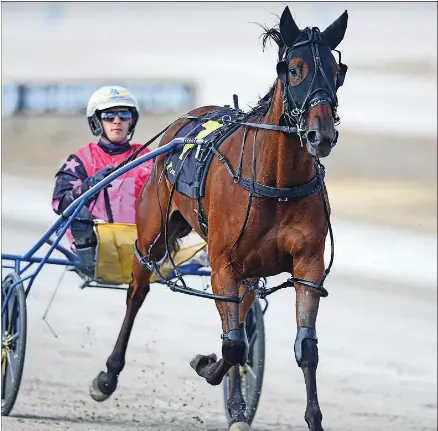 Cup Boort with a Guarantee - PressReader