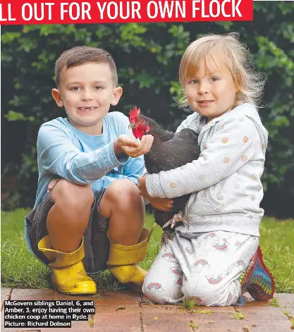 TIME TO SHELL OUT FOR YOUR OWN FLOCK - PressReader