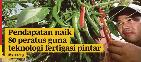 Pendapatan naik 80 peratus guna teknologi fertigasi pintar - PressReader