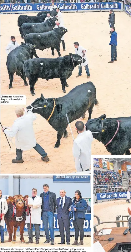 Stirling Bull Sales r - PressReader