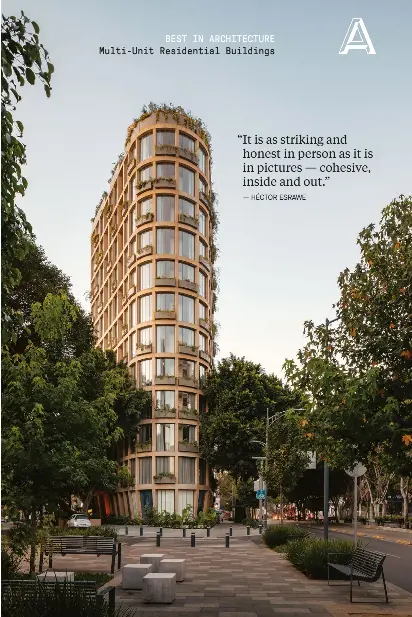 CONCRETE JUNGLE - PressReader