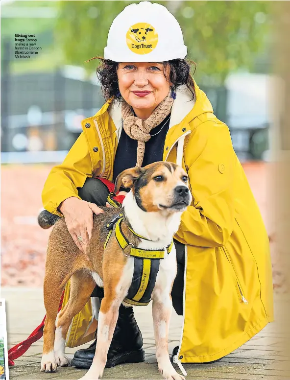 Dogs know who to trust as work on new £11m home starts - PressReader