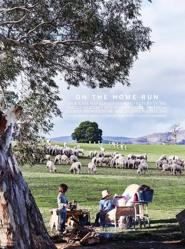 ON THE HOME RUN - PressReader