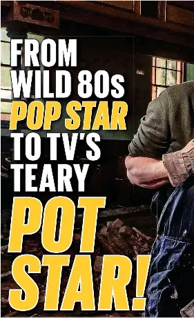 From wild 80s pop star to tv’s teary pot star! - PressReader