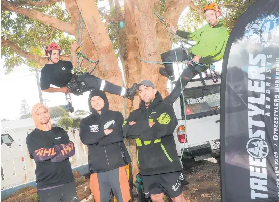 Arborists quick to reach new heights - PressReader