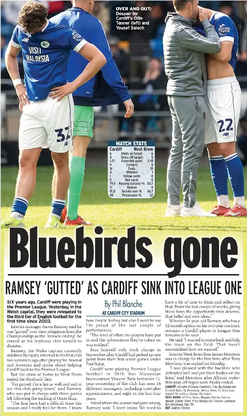 Bluebirds gone - PressReader