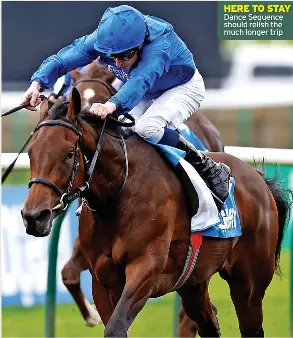 APPLEBY FILLY TO LEAD ’EM A MERRY DANCE - PressReader