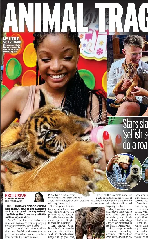 ANIMAL TRAGIC - PressReader