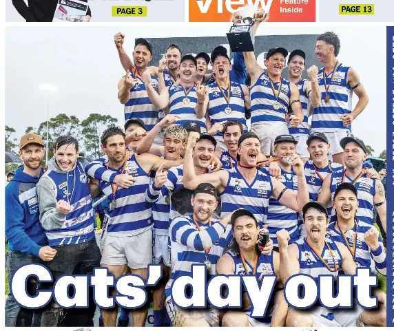 Cats’ day out - PressReader