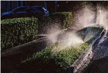 Let SAWS help convert your thirsty lawn - PressReader