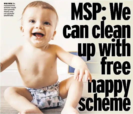MSP: We can clean up with free nappy scheme - PressReader