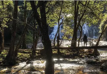 7 Things to do - PressReader