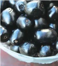 Wild fruits: Trending starters, beverages - PressReader