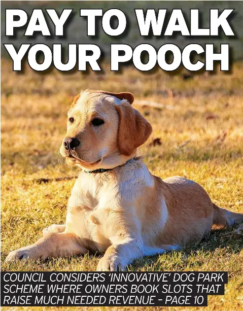 PAY TO WALK YOUR POOCH - PressReader
