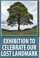 EXHIBITION TO CELEBRATE OUR LOST LANDMARK - PressReader