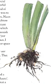 Things to Do - PressReader