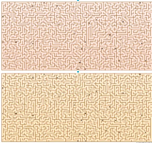 MULTI-LEVEL MAZE - PressReader