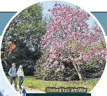 SPRING IN YOUR STEP - PressReader