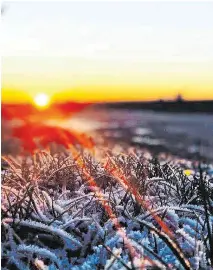 Bild der Woche - PressReader