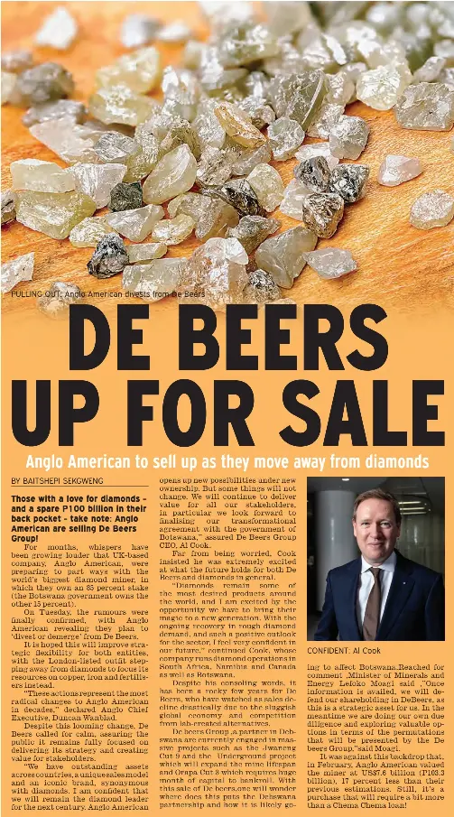 DE BEERS UP FOR SALE - PressReader