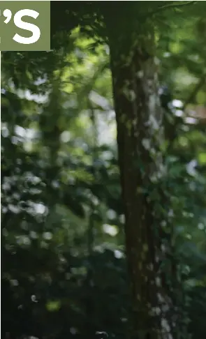 NATURE’S SPY - PressReader