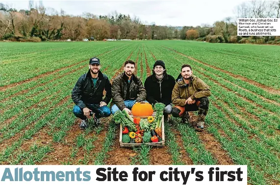 Allotments Site for city’s first commercial scheme unveiled - PressReader