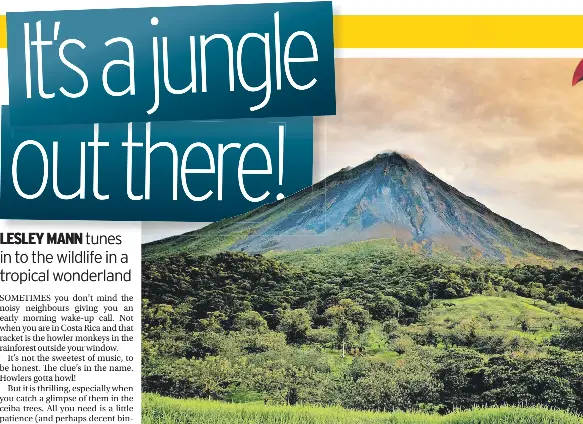 It’s a jungle outthere! - PressReader