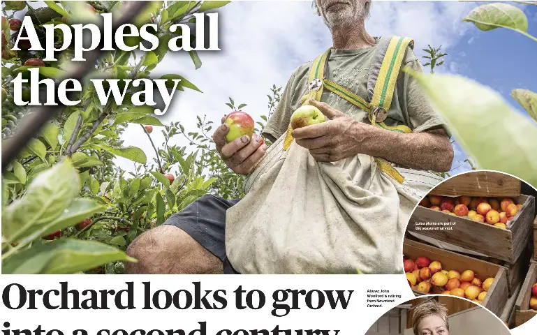 Apples all the way Orchard looks to grow into a second century ...