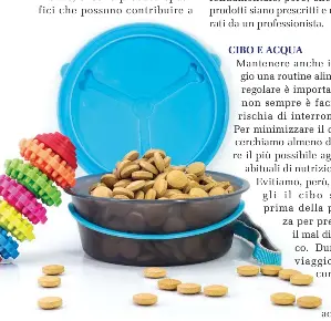 IN VIAGGIO CON IL MICIO | Gatto Magazine | PressReade­r