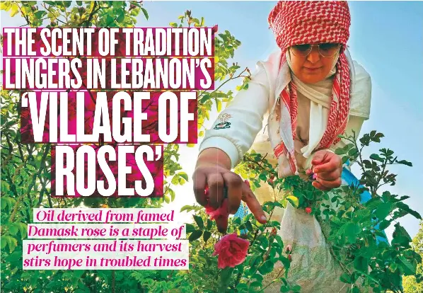 THE SCENT OF TRADITION LINGERS IN LEBANON’S ‘VILLAGE OF ROSES ...