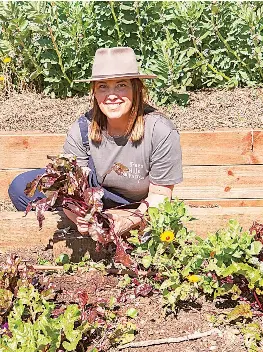 Creative Harvest a showcase of where good things grow - PressReader