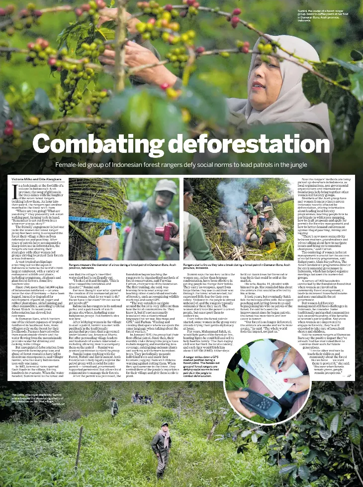 Combating deforestat­ion - PressReader