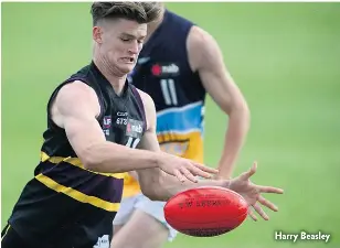 COBRAM TIGERS - PressReader