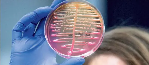 The bacteria that write new genes to cope with infections - PressReader