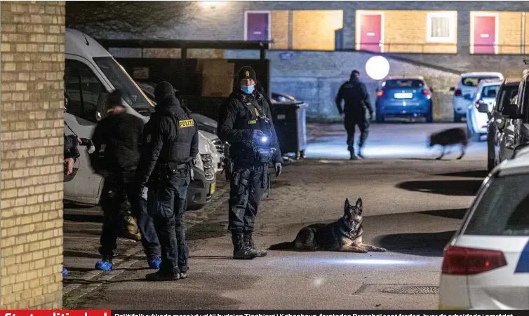 BEBOER HØRTE TO SKUD - PressReader