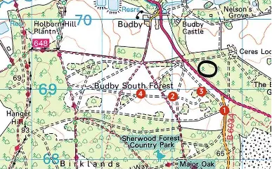 BUDBY SOUTH FOREST - PressReader